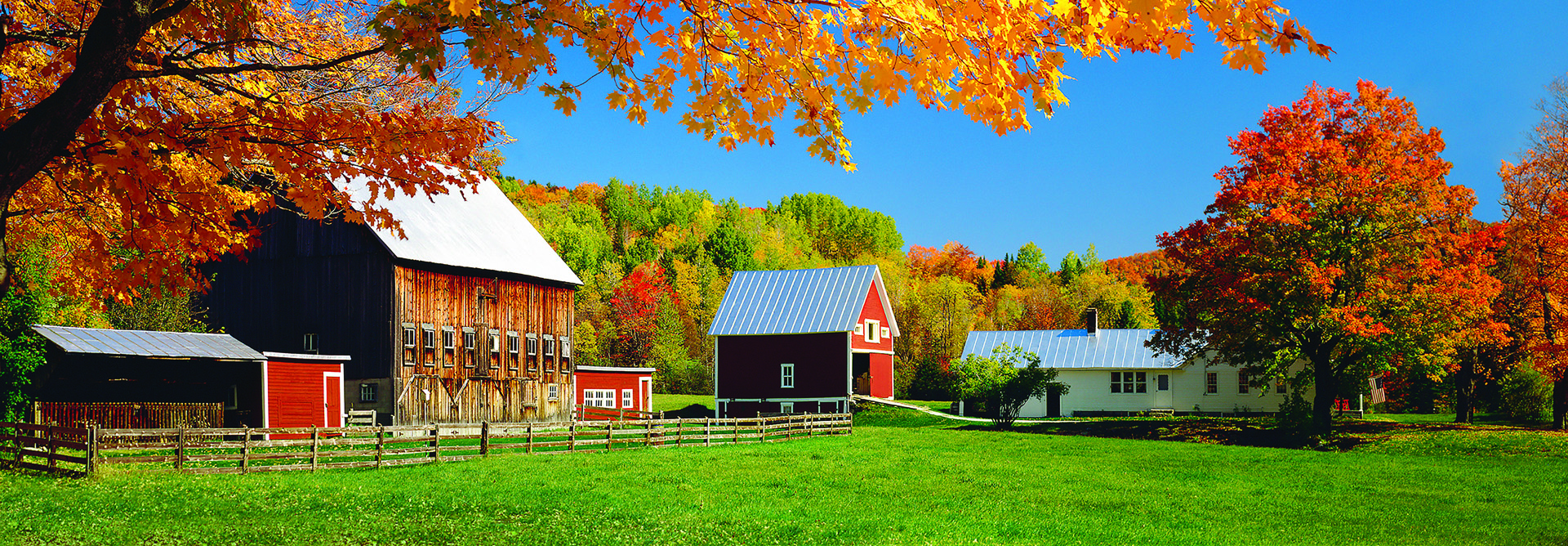 Security and Monitoring Systems for the Homestead – Mother Earth News